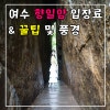 여수 향일암 입장료 주차장 가는길 소요시간 꿀팁 네이버 블로그